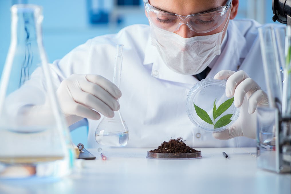 Air Quality VOC, Soil Sampling and Analysis from Enviroleak